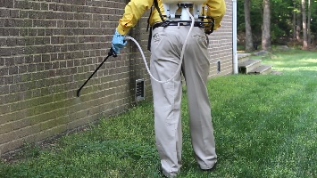Pest Control Service Advantages in Springfield, MO