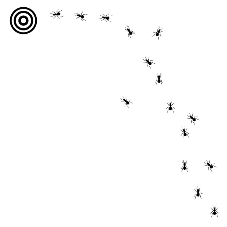 How to Get Rid of Ants | Tips From the Ant Terminator